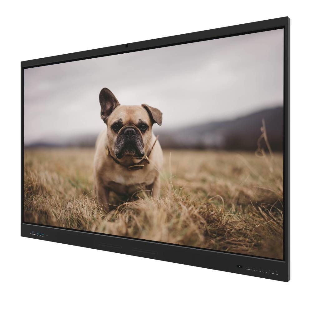 iBoard Interactive Whiteboard 98 Inch Android Windows Computer Touch ...