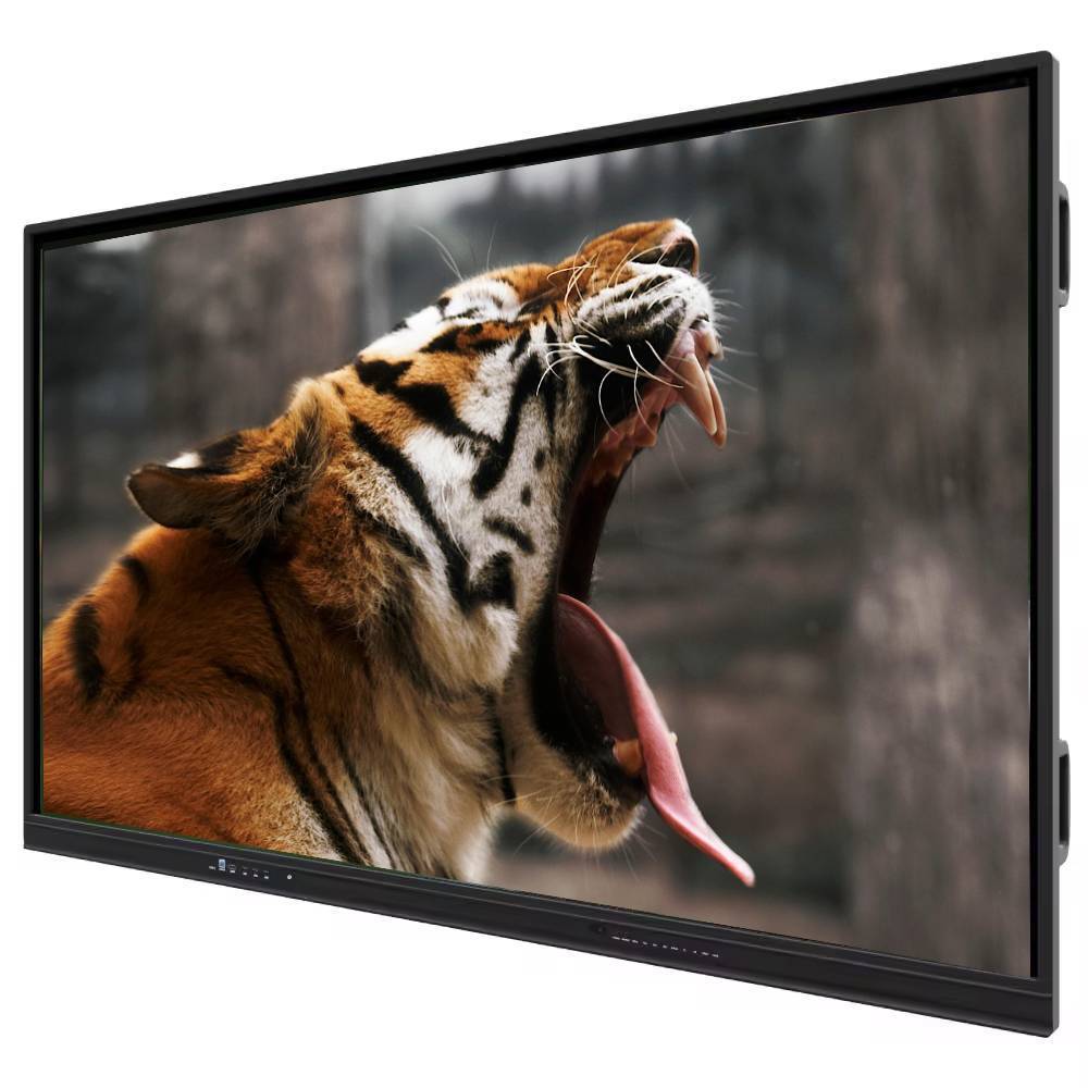 Factory price IBoard 65 Inch Interactive Flat Panel with Infrared Touch Screen and 3G Ram