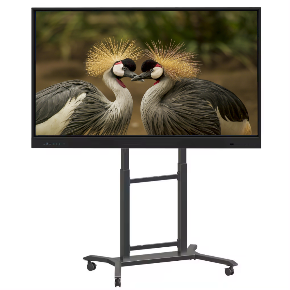 Manufacturer IBoard 65 Inch Interactive Whiteboard Smart Board ...